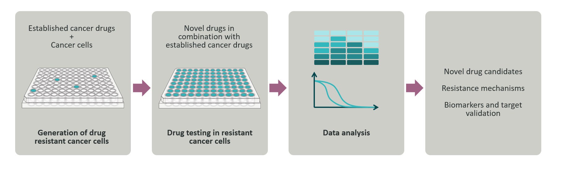 Technology Platform – Scandion Oncology